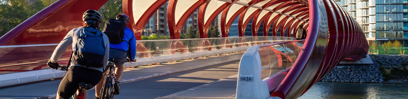Things to do in Calgary | Robertson College