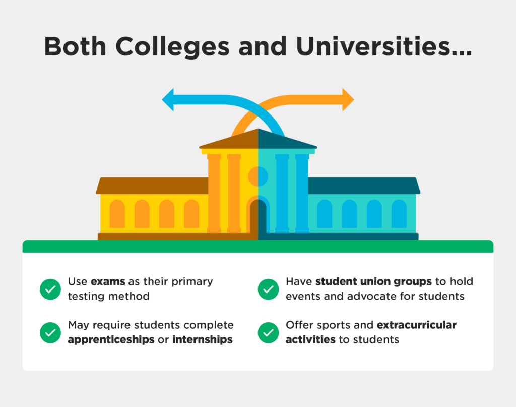 What's the Difference Between College and University?