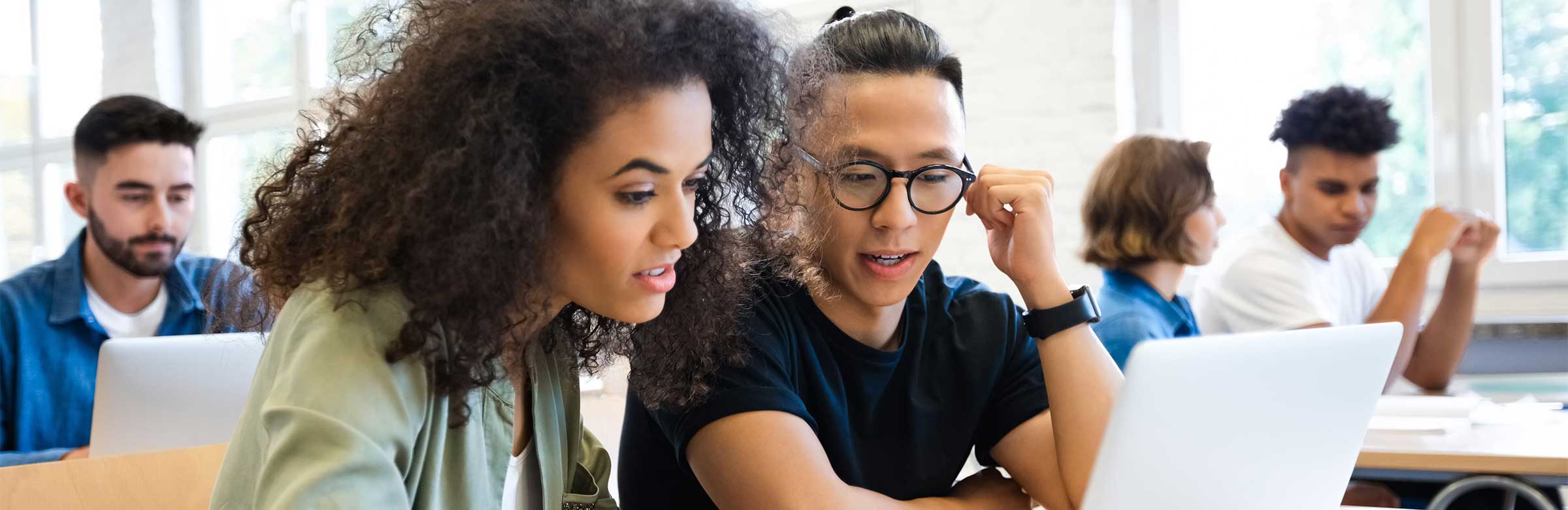 What's the Difference Between College and University?