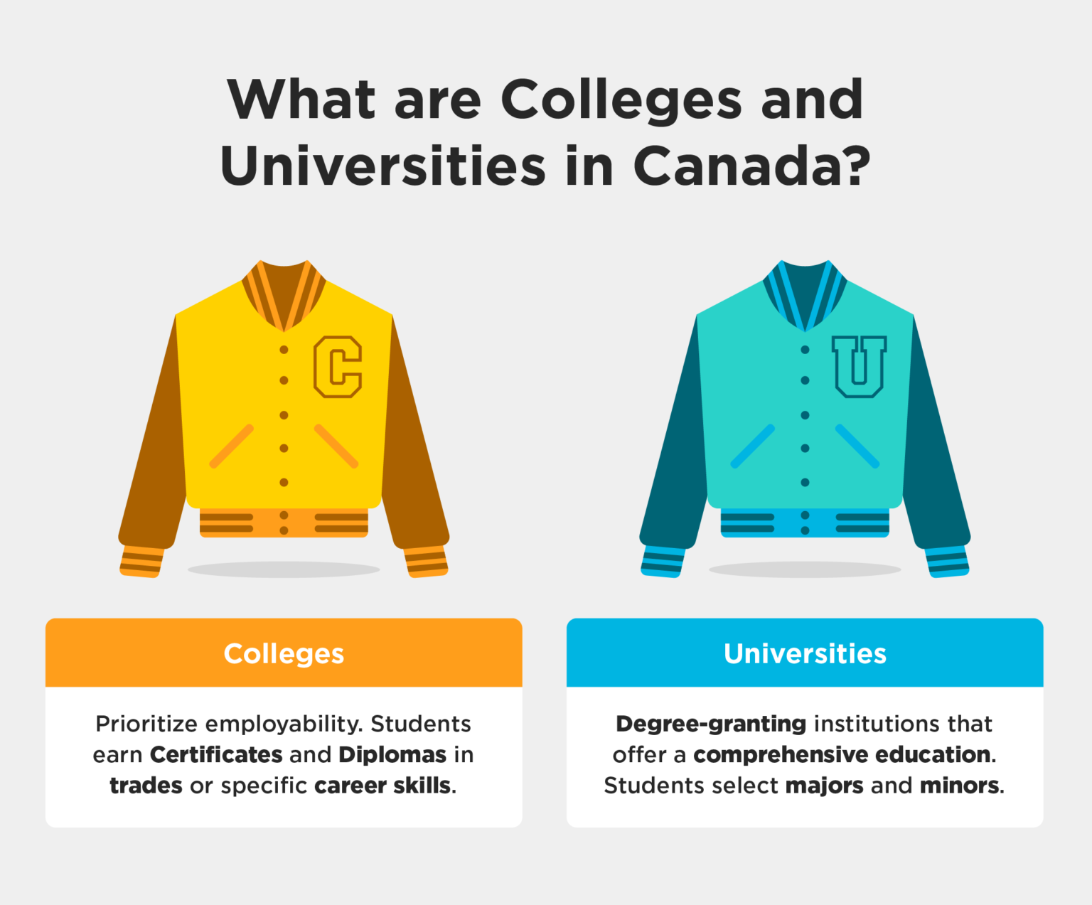 What's the Difference Between College and University?